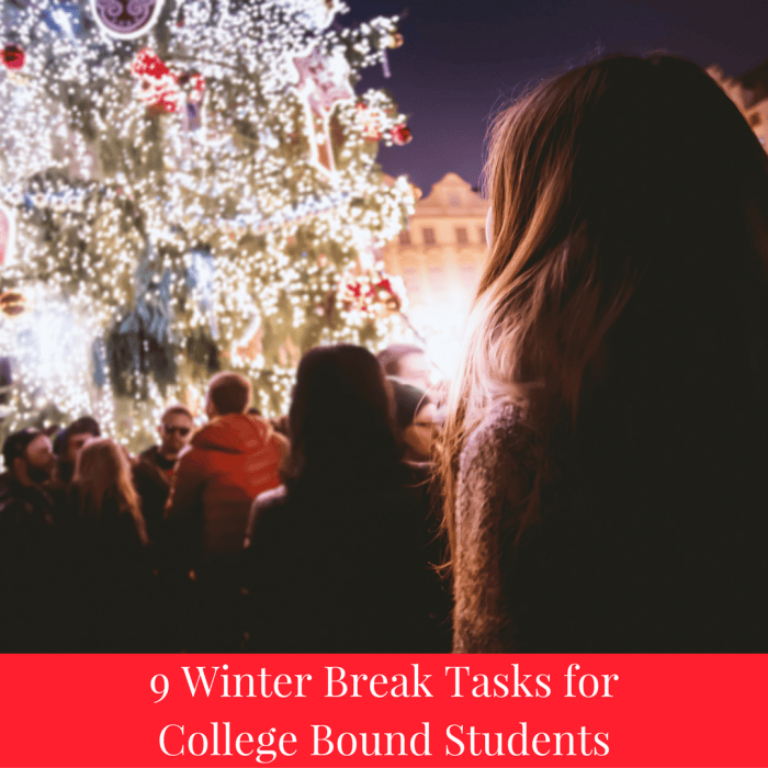 9 Winter Break Tasks for College Bound Students | JLV College Counseling