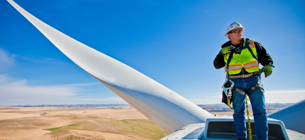 Green Collar Professionals: Top 4 Degrees to Help Protect the ...