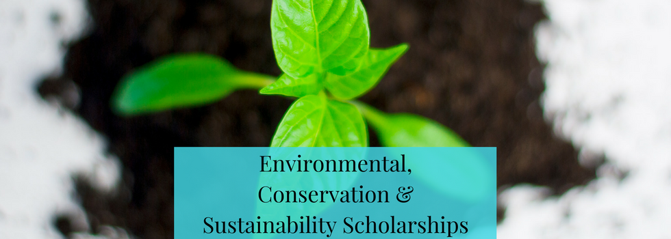 Environmental, Conservation & Sustainability Scholarships | JLV College ...