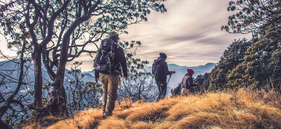 Top 5 Gap Year Programs You Could Choose in 2018 | JLV College Counseling
